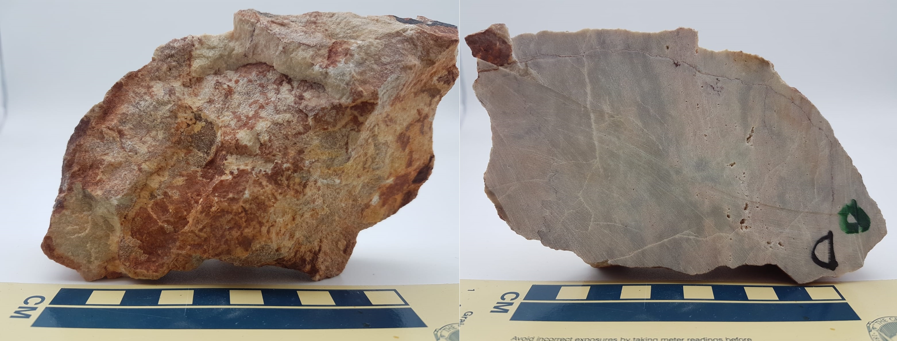 Dolomia principale – Atlas of Italian Rocks